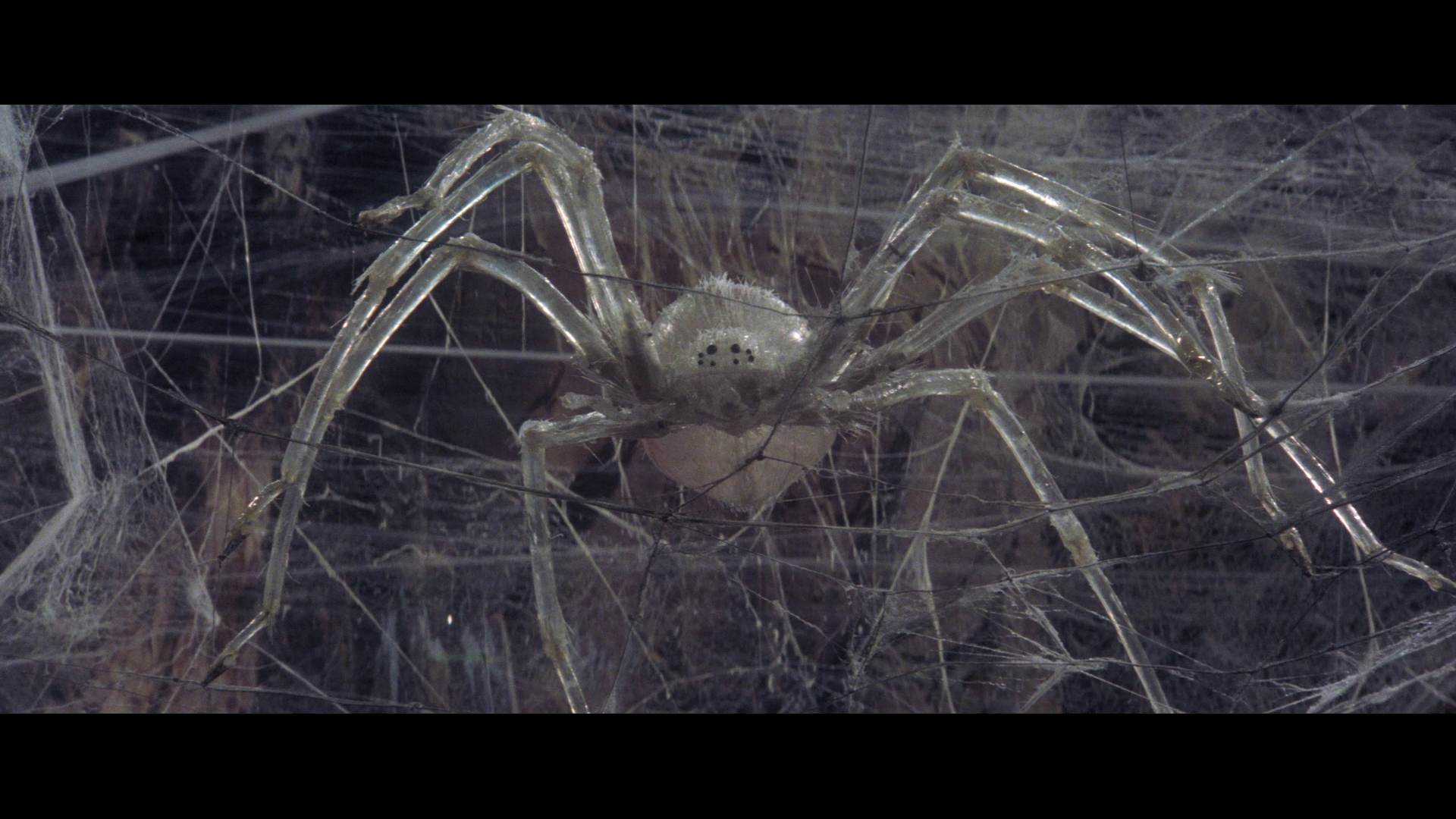 Krull - 4K UHD Blu-ray Screenshots